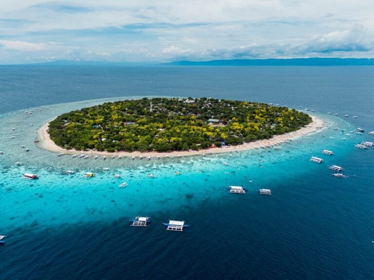 Dive Sites Of Balicasag Island – Explore Bohol’s Best Underwater Spots