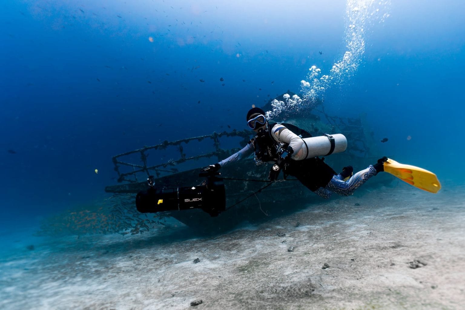 PADI Master Scuba Diver Trainer (MSDT) Course | Sierra Madre Divers