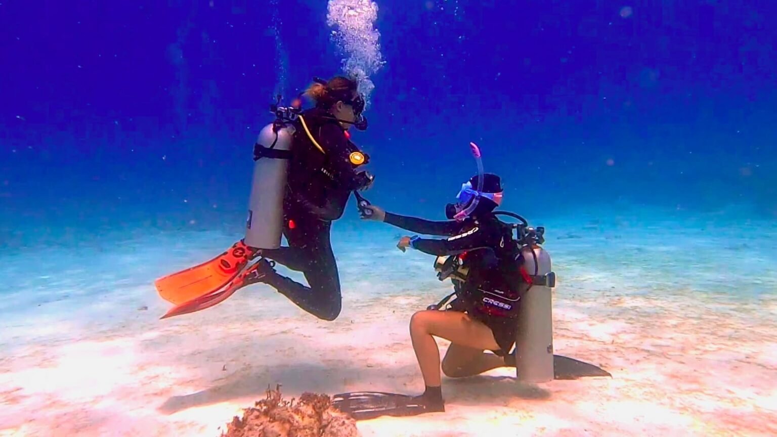PADI Peak Performance Buoyancy Course In Bohol | Sierra Madre Divers