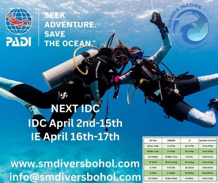 Become A PADI Instructor In Bohol – April 2025 IDC